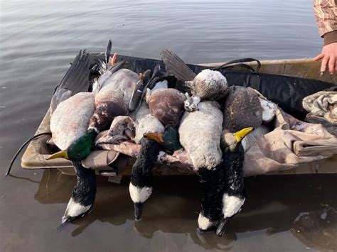 Fun Hunt Waterfowl Hunting Nj Woods And Water