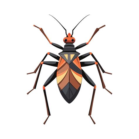 Captivating Assassin Bug Illustration For Educational Content 58981028