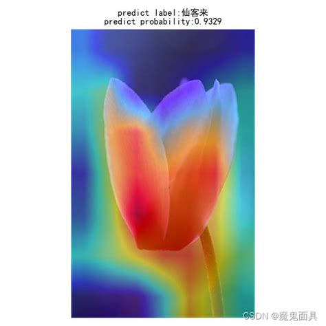 使用pytorch实现图像花朵分类 ghostnet预训练权重下载 csdn博客