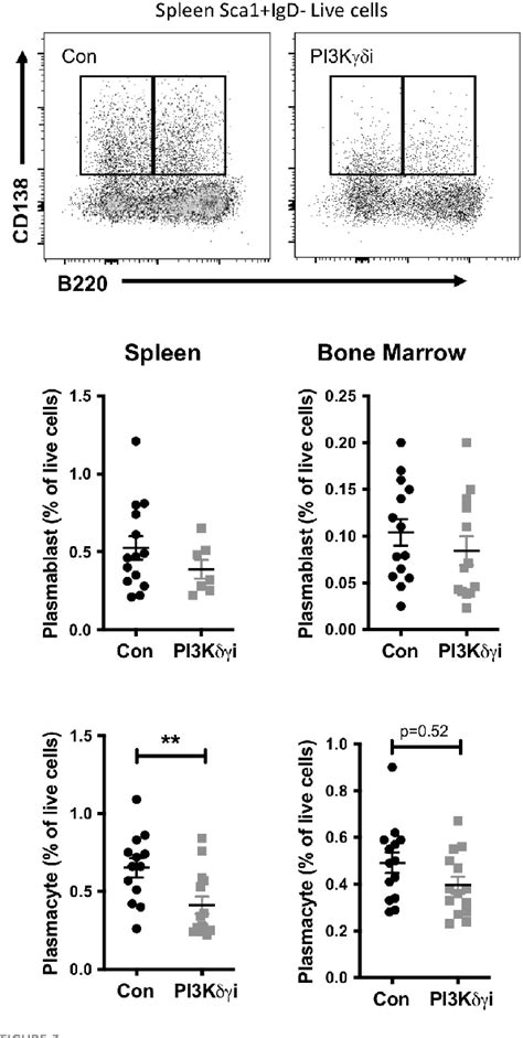 Figure 1 From Dual Inhibition Of Phosphoinositide 3 Kinases Delta And