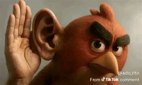 Angry Bird Hear Me Out Meme Angry Bird Hear Me Out Discover And Share S