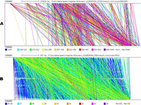 Repeat Graph A Repeat Graph Of The 283 Mb Sequence From S