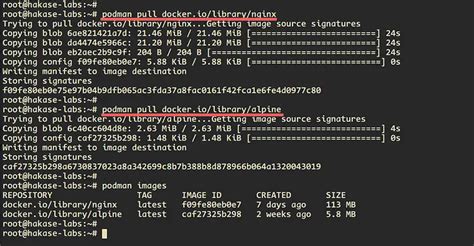 Getting Started With Podman Manage Images Containers And Volumes