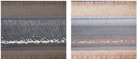 Ai实战营第二期 第七节 《语义分割与mmsegmentation》——笔记8 知乎