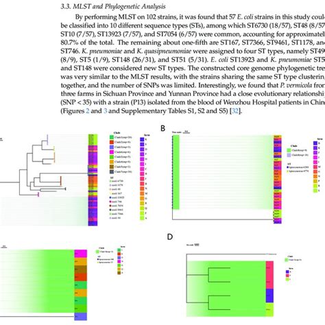 Maximum Likelihood Phylogenetic Tree Of E Coli Klebsiella Pneumoniae