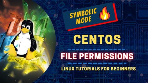 Linux File Permissions Symbolic Mode Set User And Group Permissions Using Chmod Linux