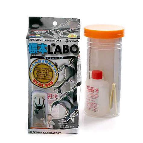 フジコン 標本labo かんたん昆虫標本セット（1～2匹用） 45552 1個（直送品） アスクル