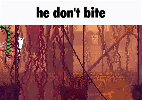 Rain World Centipede  Rain World Centipede He Dont Bite Descubre