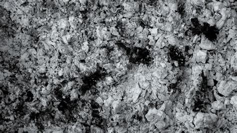 Phase Separation In Glass Understanding Its Impact On Quality