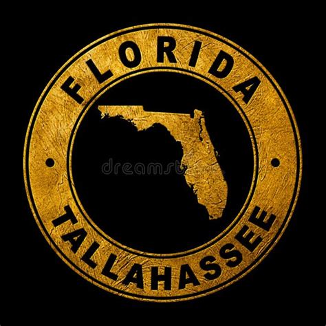 Gold Emblem Of Florida Map Stock Illustration Illustration Of Liberty
