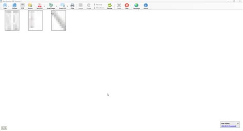 DeleteAfterSaving True Does Not Clear Images After Saving A PDF Version