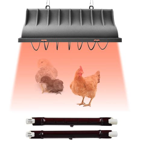 Jusoney Chicken Coop Heater For Chicks Brooder Heater With 2pcs Heat Lamp 250w And 175w