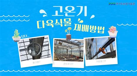 고온기 다육식물 재배기술 Feat 환기팬 저압포그 관수주기 Youtube