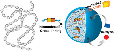 Intramolecularly Cross Linked Polymers From Structure To Function With Applications As