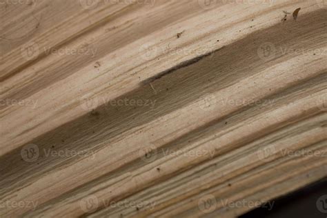 Tree Trunk After Being Cut Background 22963892 Stock Photo At Vecteezy
