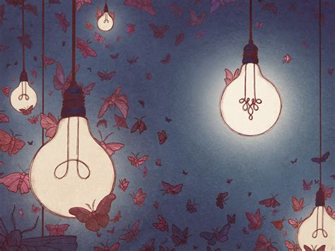 Finding A Metaphor For The Perfect Amount Of Creativity Nautilus