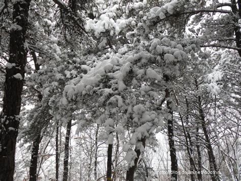 하얀겨울속에서