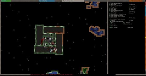 Dwarf Fortress Storage How To Optimize It Techbriefly