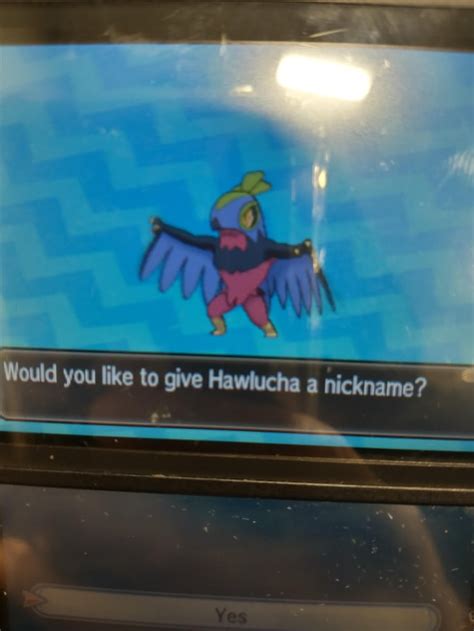 Shiny Treecko R Pokemonoras