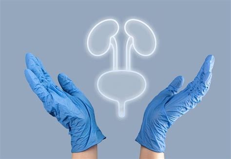 On Linkedin Urology Vs Nephrology Career Differences Education Pathways And…