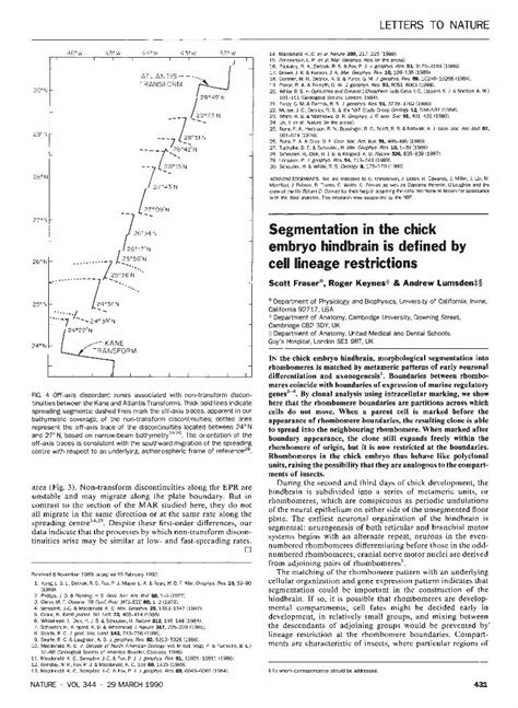 Pdf Segmentation In The Chick Embryo Hindbrain Is Defined By Cell Lineage Restrictions