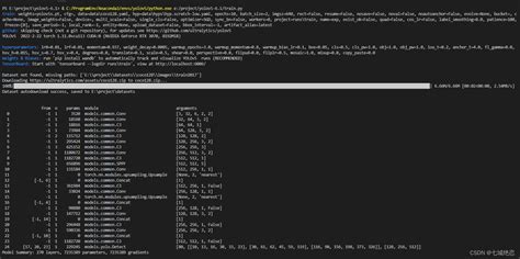 零基础，如何搭建yolov5 python 部署yolov5 csdn博客