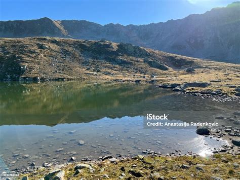 플뤼엘라파스 0명에 대한 스톡 사진 및 기타 이미지 Istock