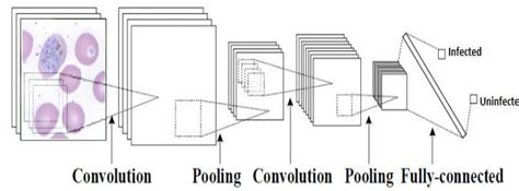 5 Architecture Of The Convolutional Neural Network