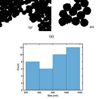 A TEM Images Of Representative Coreshell Particles Containing Download Scientific Diagram