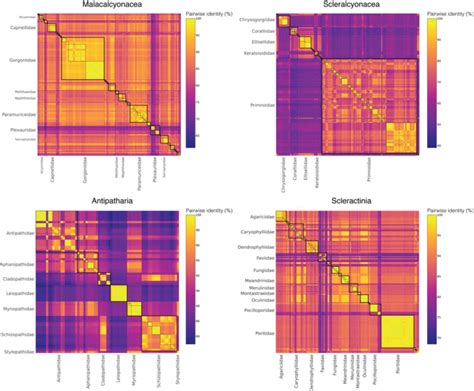 Matrices Of Pairwise Identities Between 28s Rrna Barcode Sequences Download Scientific Diagram