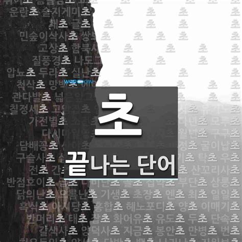 초로 끝나는 단어는 1436개