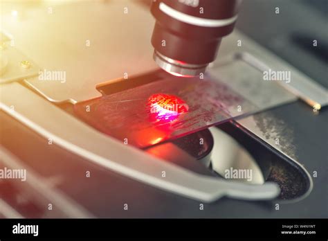 Test Sample Microscope Hi Res Stock Photography And Images Alamy