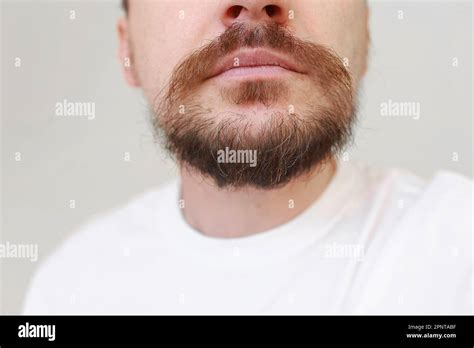 Cropped Photo Of Bearded Man First Gray Hairs On Overgrown Shaggy Beard