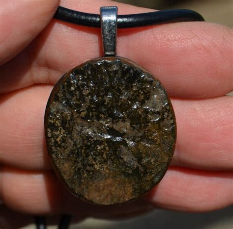 Fossil Turtle Shell Scute Pendant Necklace By Highrroad On Etsy