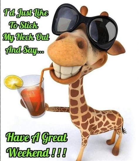 Have A Nice Weekend Funny