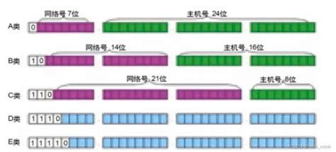 真良心干货保姆级手把手教你python网络编程，学不会我去你家教你 Python基础教程