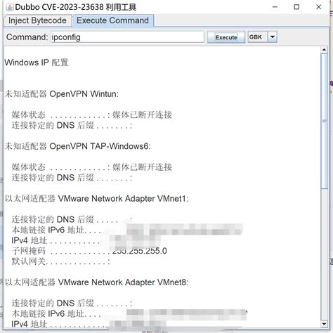 Apache Dubbo反序列化漏洞（cve 2023 23638）完整利用及工程化实践 Lhs Blog