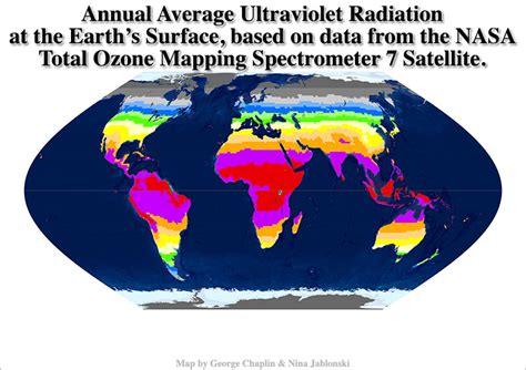 4 The Biology Of Human Variation Understanding Compassion