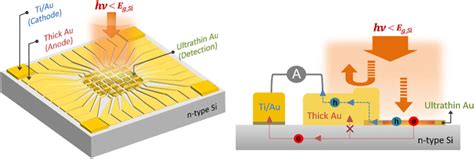 Scalable Hot Carrier Assisted Silicon Photodetector Array Based On Ultrathin Gold Film Pmc