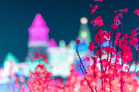 哈尔滨冰雪大世界什么时候开放，哈尔滨冰雪大世界开放时间是什么时候