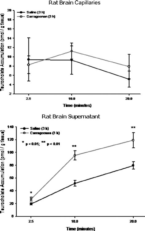 Capillary Depletion Analysis Of Taurocholate Uptake In Rat Brain