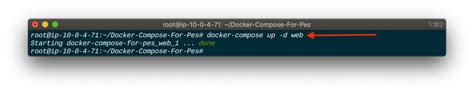 How To Run Multiple Containers With Docker Compose Techcrumble