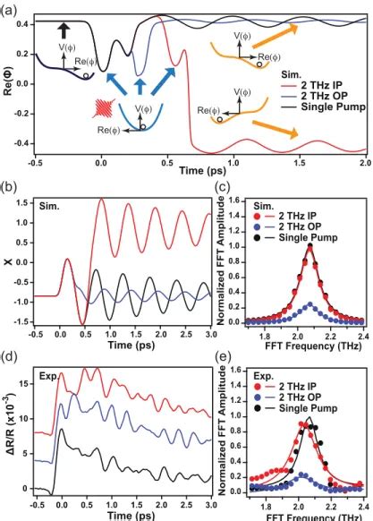 Microscopic Model And Dynamical Simulation Microscopic Modelmicroscopic Model