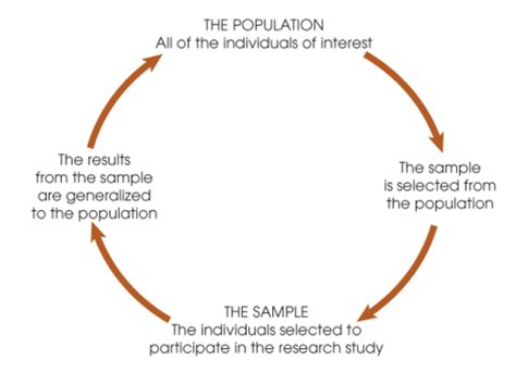 Statistics Chapter 1 Flashcards Quizlet
