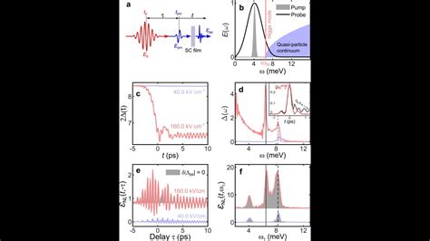 Symmetry Breaking By Ultrashort Light Pulses Opens New Quantum Pathways For Coherent Phonons