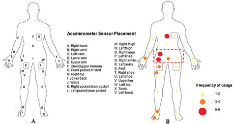 Accelerometry A Technique For The Measurement Of Human Body Movements