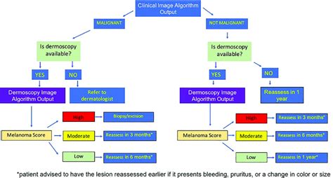 Possible Clinical And Dermoscopy Algorithms Outputs And Suggested Care
