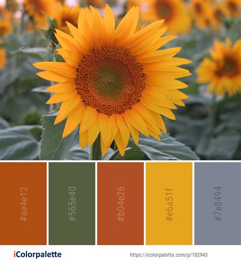 What Colors Make Sunflower Yellow