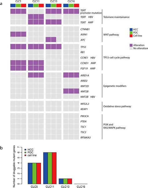 Comparison Of Driver Gene Alterations A Heatmap Shows Landscapes Of Download Scientific