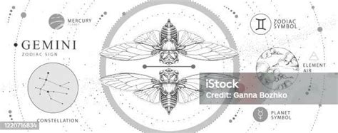 점성술 쌍둥이 자리 조디악 기호와 현대 마술 마술 카드 사실적인 손 그리기 나비 또는 매미 그림 조디악 특성 로고에 대한 스톡